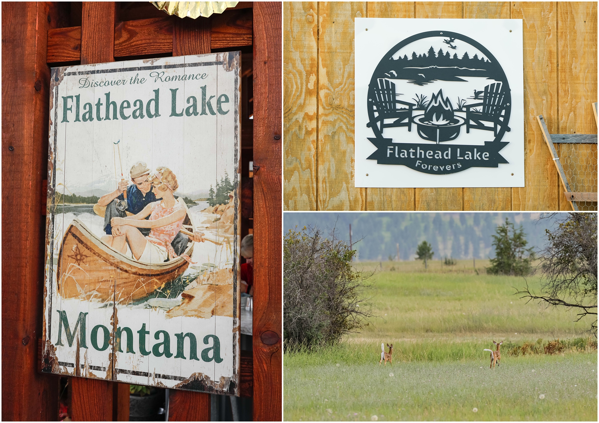 Flathead Lake Wedding – Jamie + Nick - saranagelphotography.com