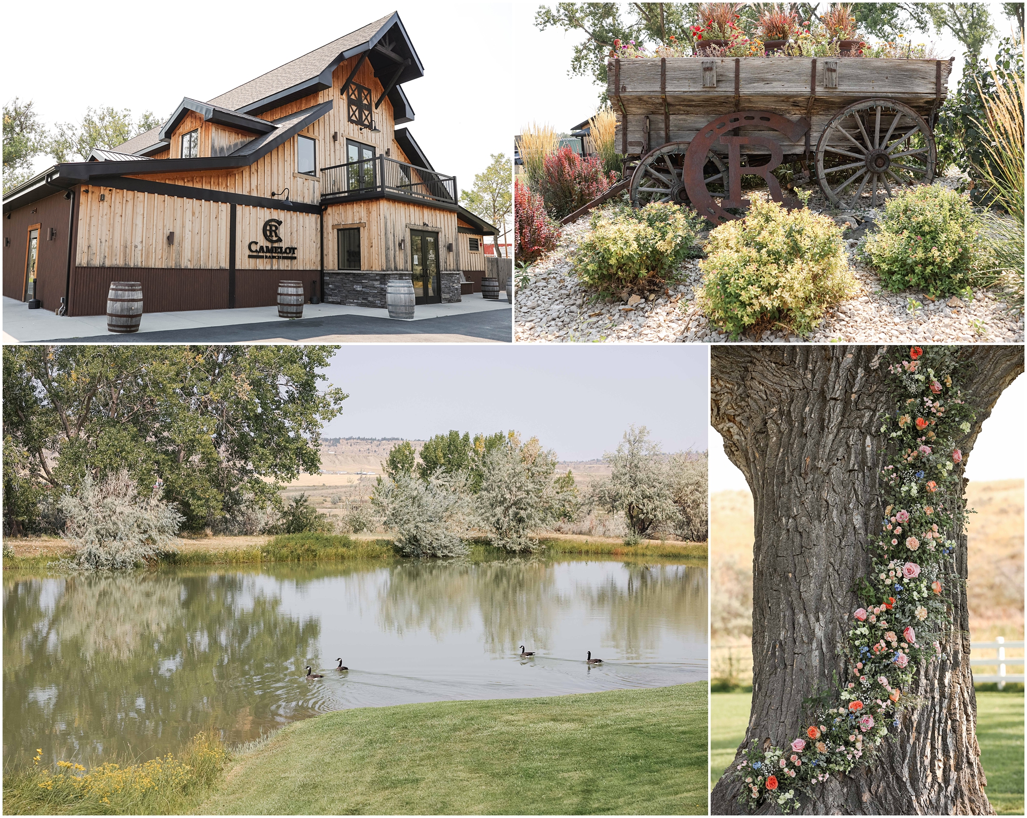 Billings Camelot Ranch Wedding - saranagelphotography.com